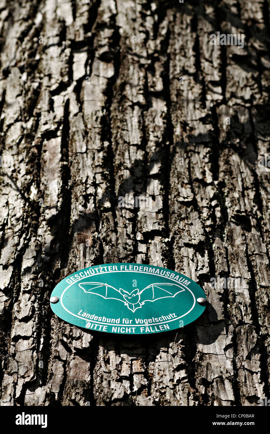 German sign, Do not fell this tree warning tag because of nesting bats ...