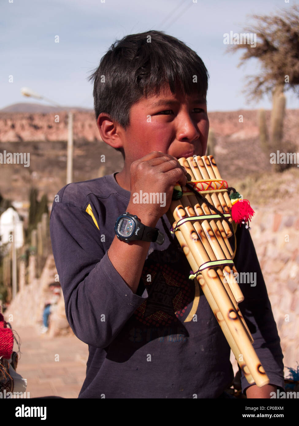 boy coya with cicus Stock Photo - Alamy