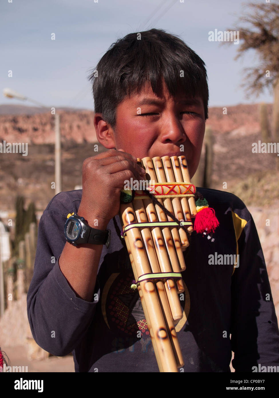 boy coya with cicus Stock Photo - Alamy