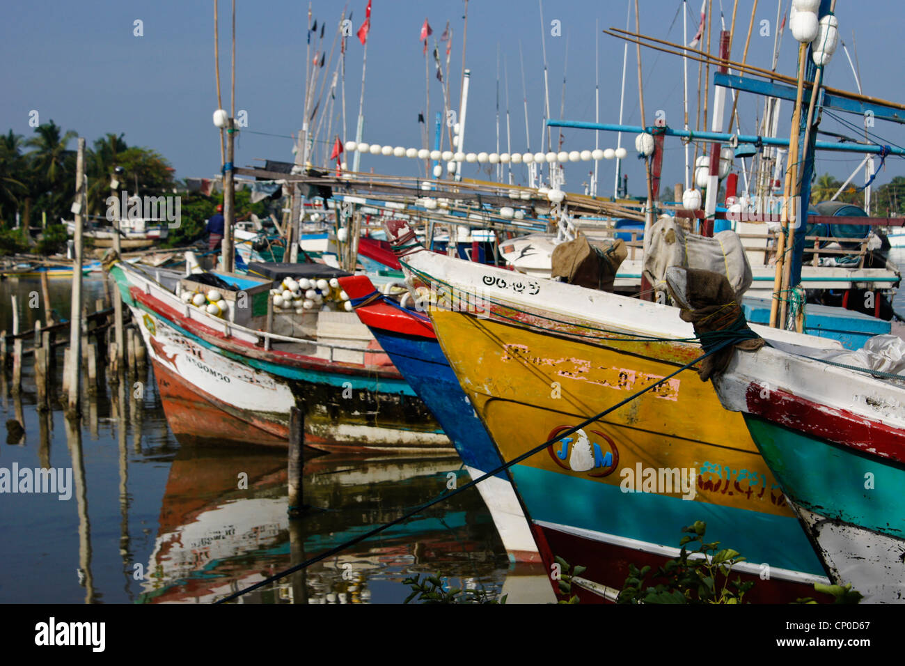 Fishing boats in harbor, Negombo, Sri Lanka Stock Photo - Alamy