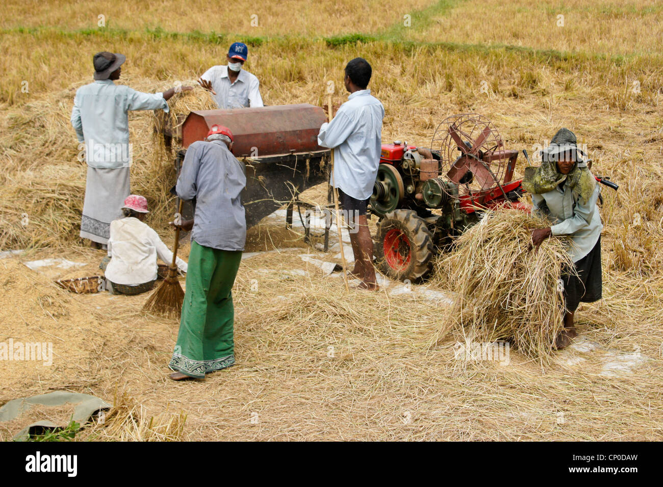 Rice Thresher High Resolution Stock Photography and Images - Alamy