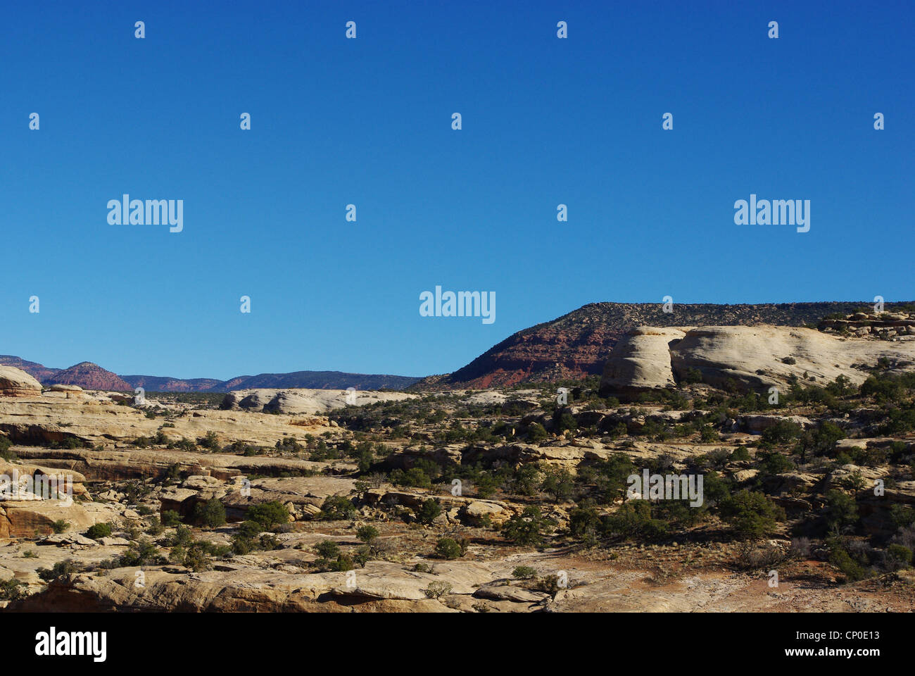 Interesting rocks in White Canyon area, Utah Stock Photo - Alamy