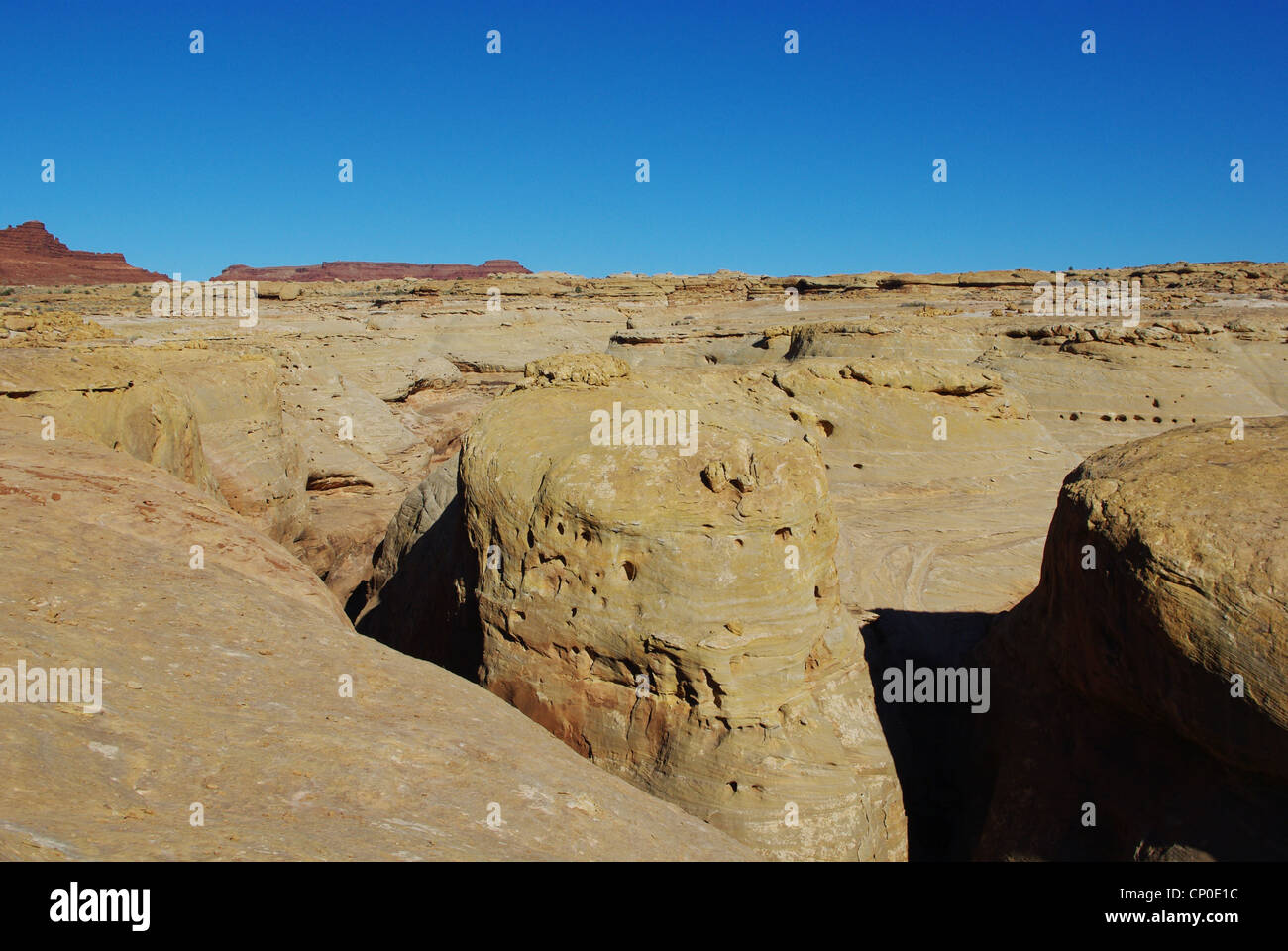 Desert canyon detail hi-res stock photography and images - Alamy