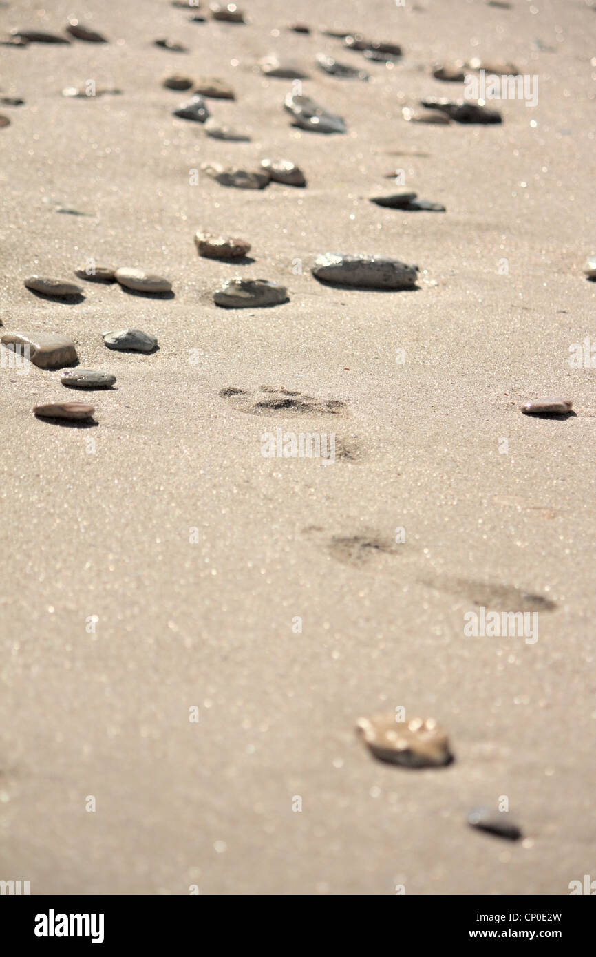 Sand beach footprints hi-res stock photography and images - Alamy