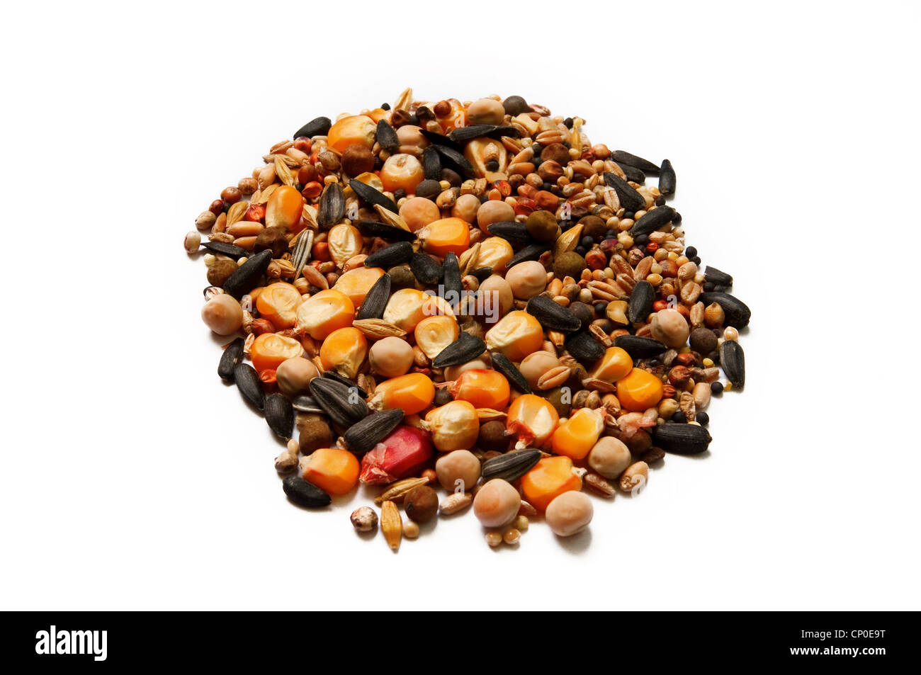 food for birds isolated on white background Stock Photo - Alamy