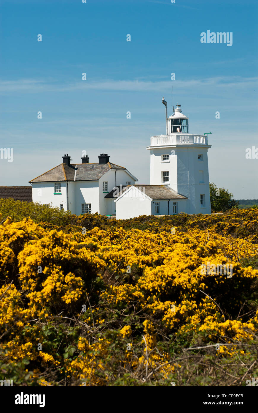 Cromer lighthouse, Norfolk, England UK Stock Photo - Alamy