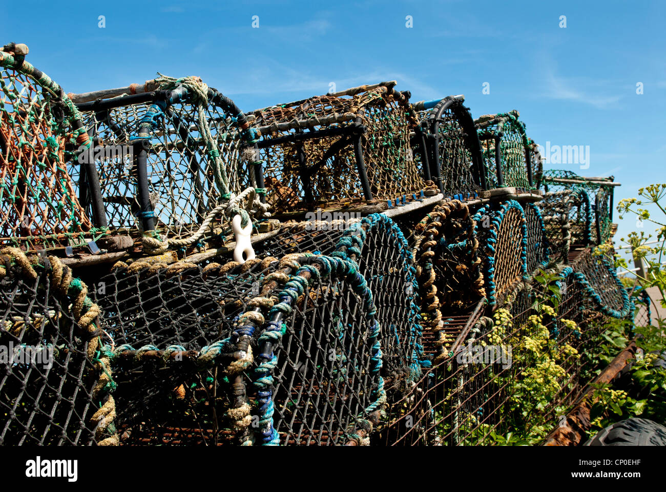 Crustacean pots hi-res stock photography and images - Alamy