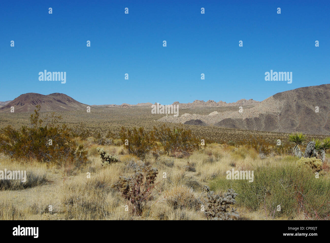 Lonesome high desert road, Joshua Tree National Park, California Stock ...