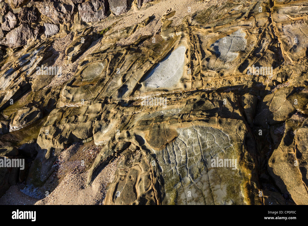 Basalt rocks proliferate along the Sunshine Coast in Queensland ...