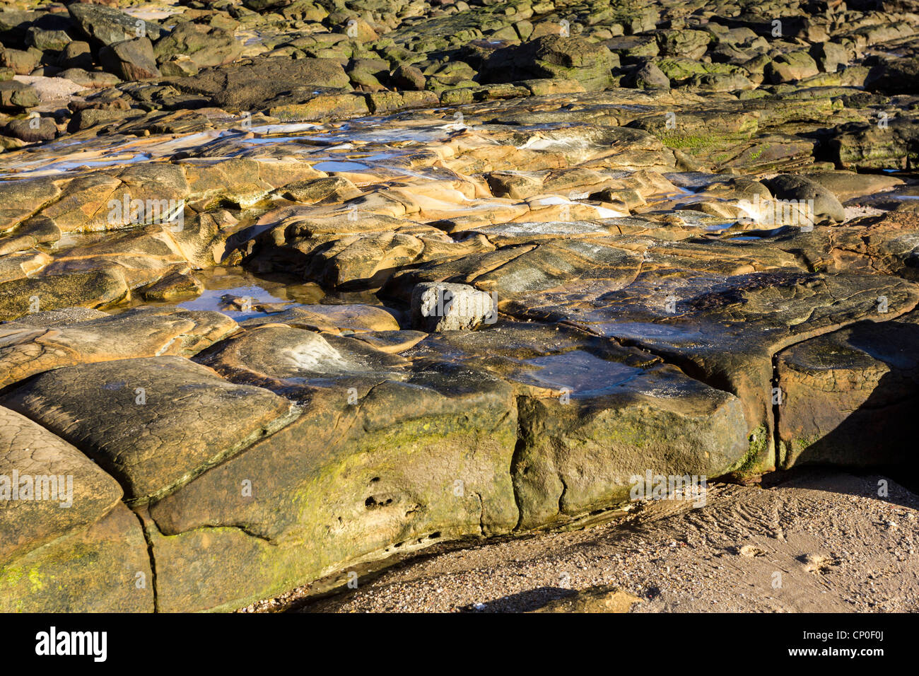 Basalt rocks proliferate along the Sunshine Coast in Queensland ...