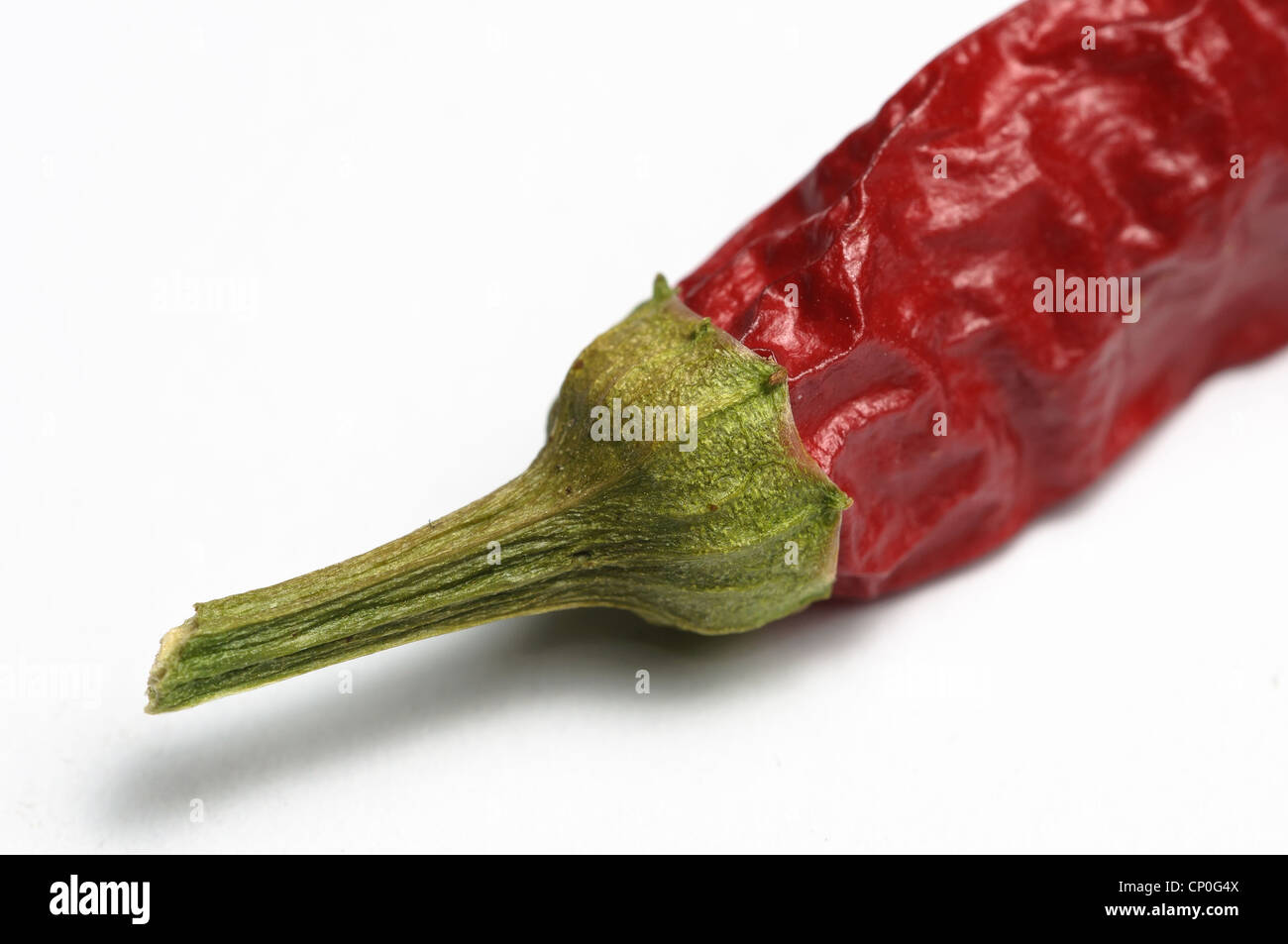Chili pepper stem on a white background Stock Photo - Alamy