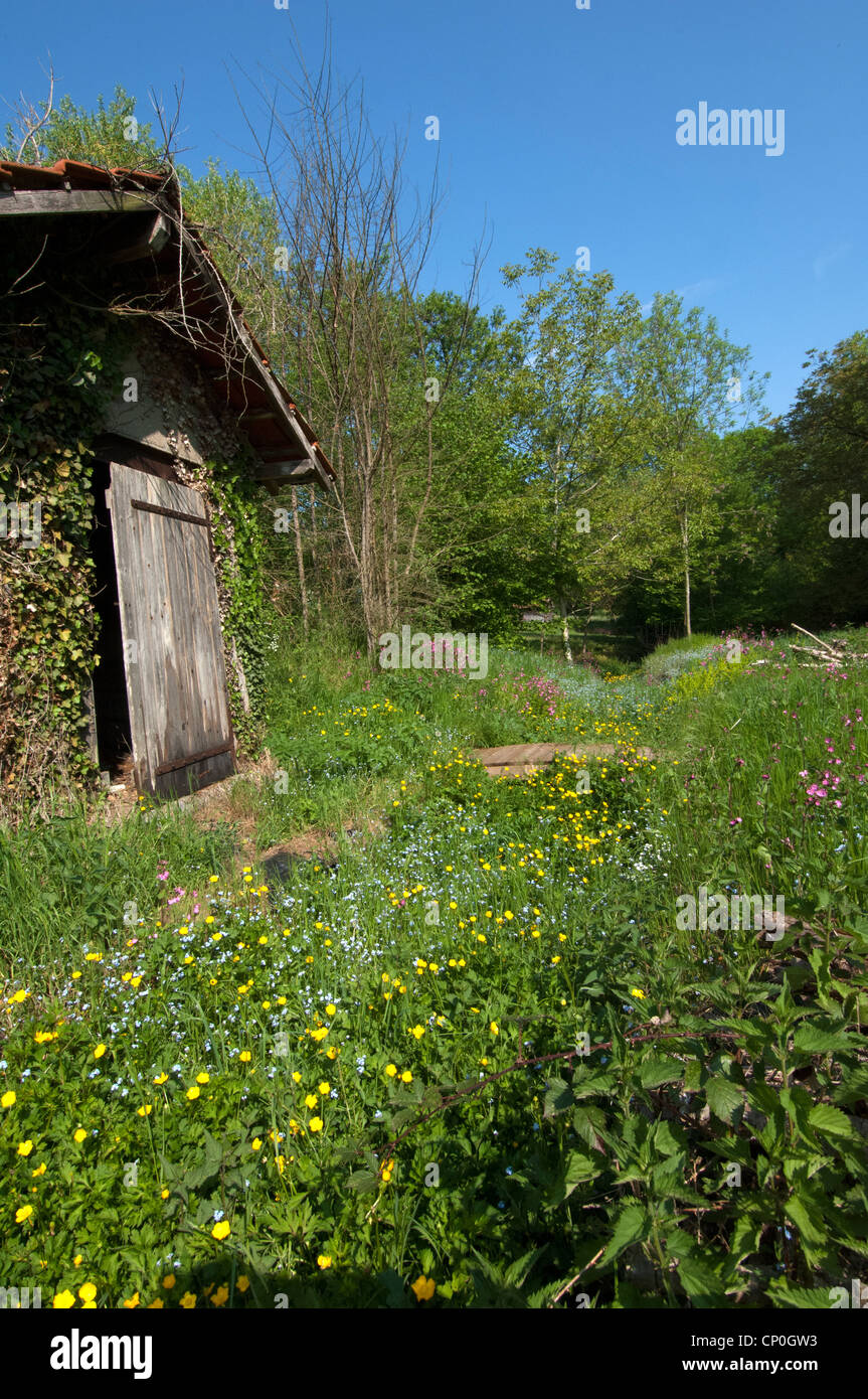pastoral scene of rural France Stock Photo - Alamy