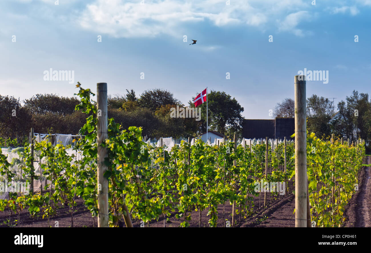 Cultivation farming hi-res stock photography and images - Alamy