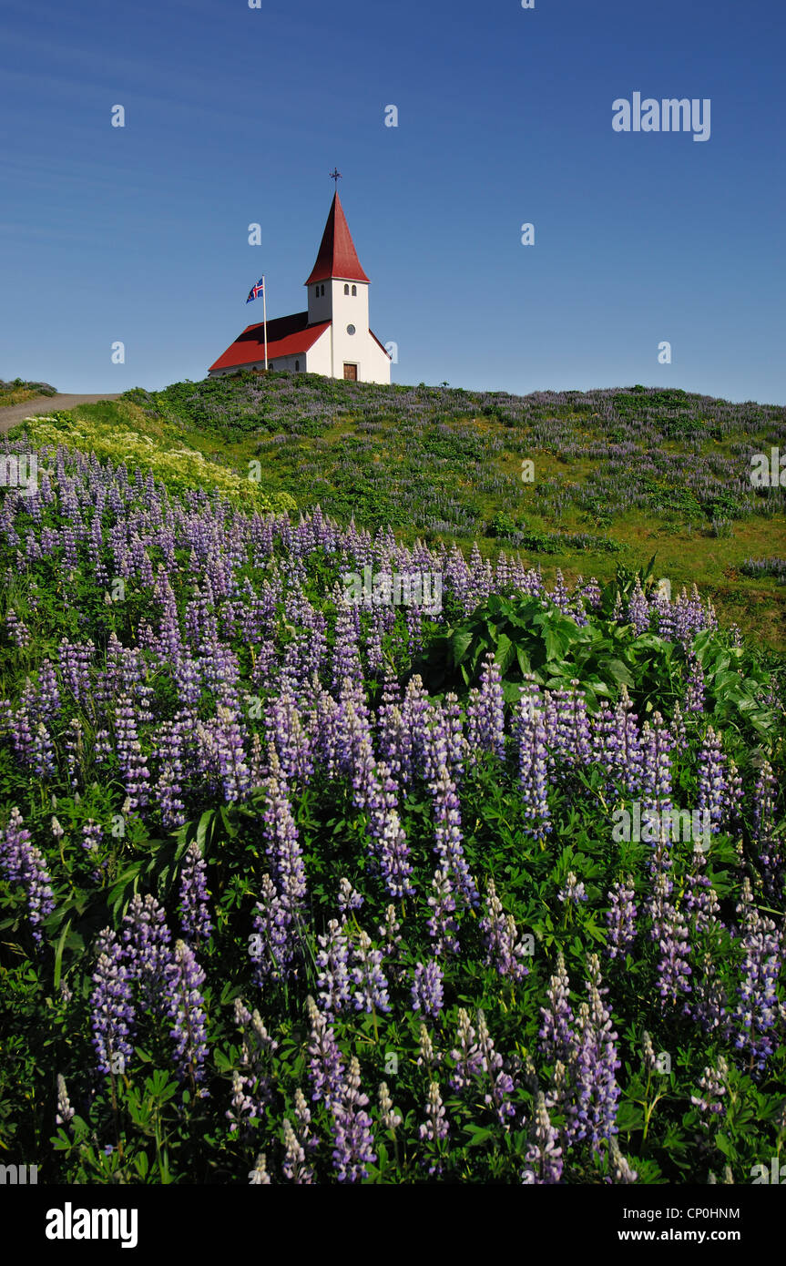The little red-roofed church at Vik in southern Iceland Stock Photo - Alamy
