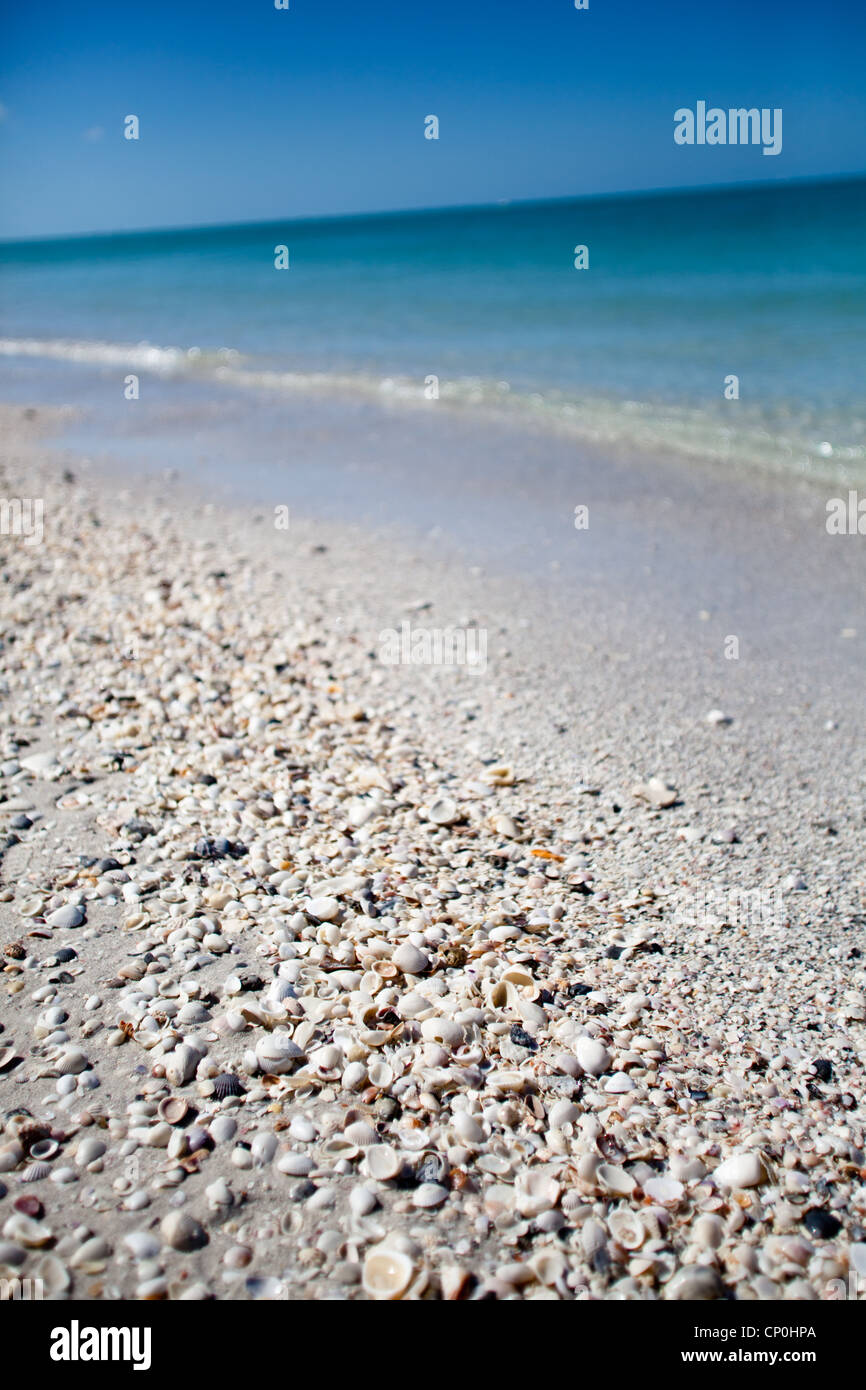 Barefoot beach bonita springs hi-res stock photography and images - Alamy