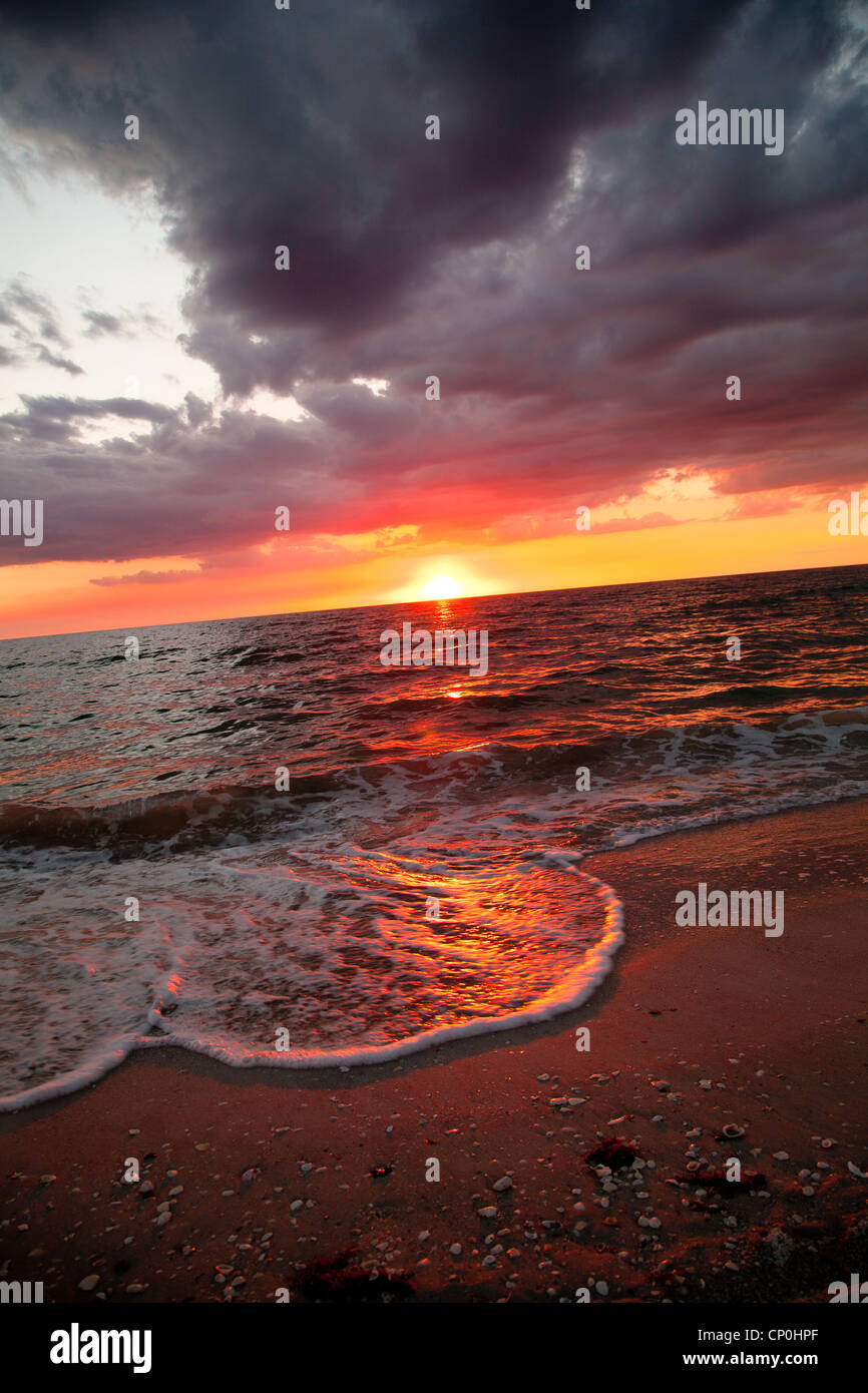 Bonita springs hi-res stock photography and images - Alamy