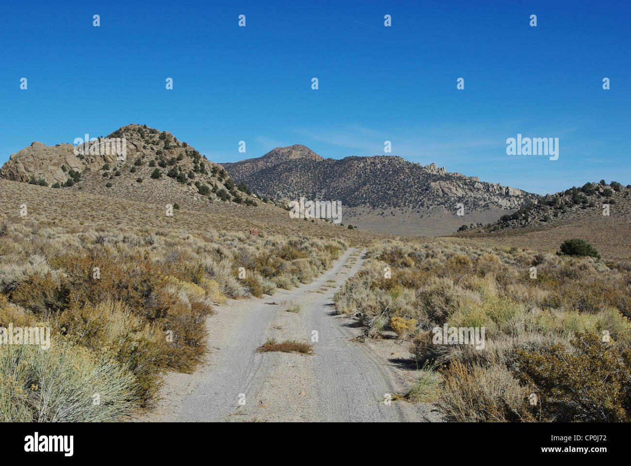 Sandy jeep road, Inyo National Forest, California Stock Photo - Alamy