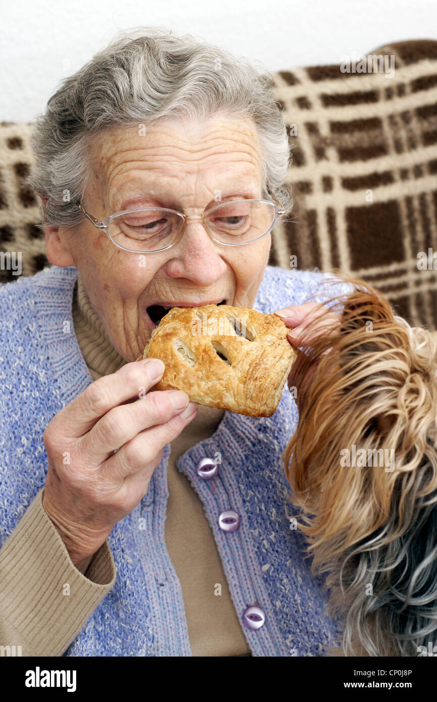 Elderly woman pet yorkshire terrier hi-res stock photography and images ...