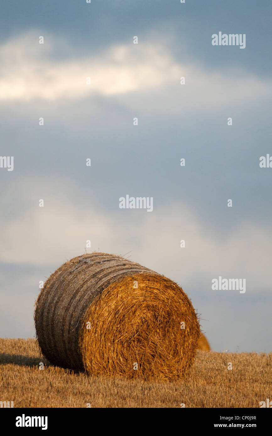 Bail in hi-res stock photography and images - Alamy