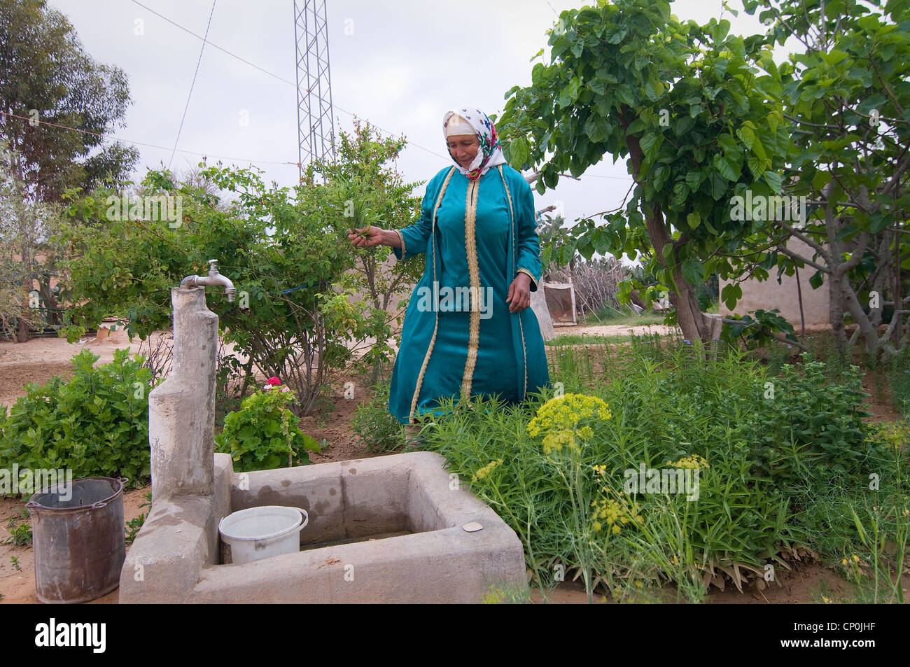 Middle eastern woman smiling village hi-res stock photography and ...