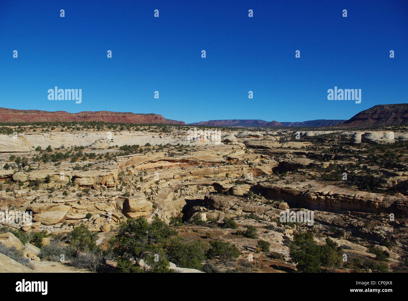 White Canyon, Utah Stock Photo - Alamy