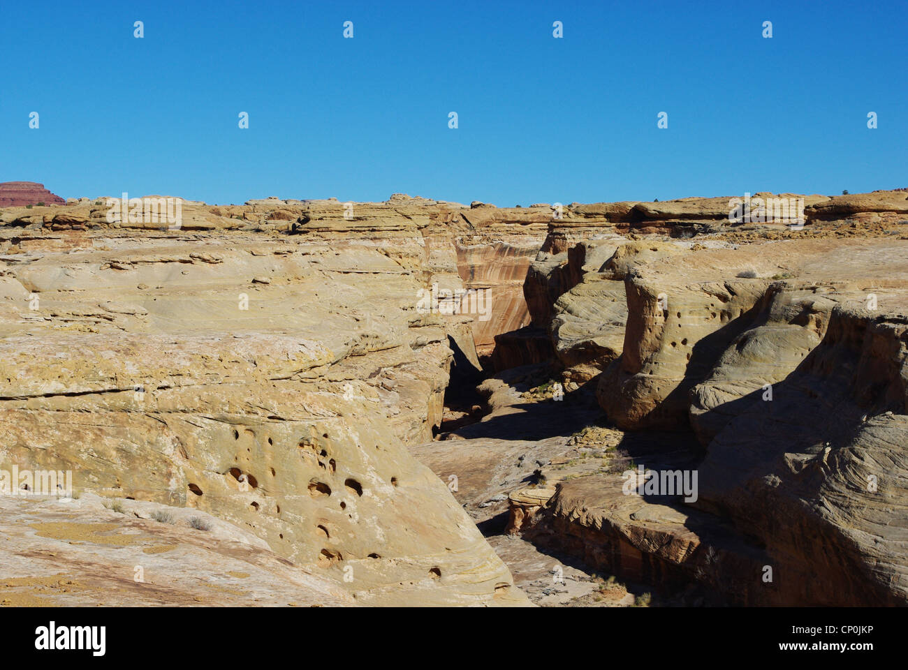 Desert canyon detail hi-res stock photography and images - Alamy