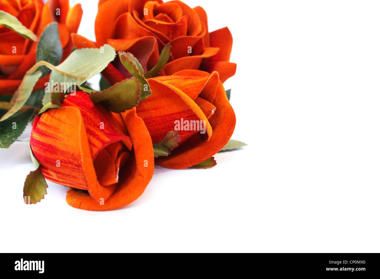 Red roses isolated on white background Stock Photo - Alamy
