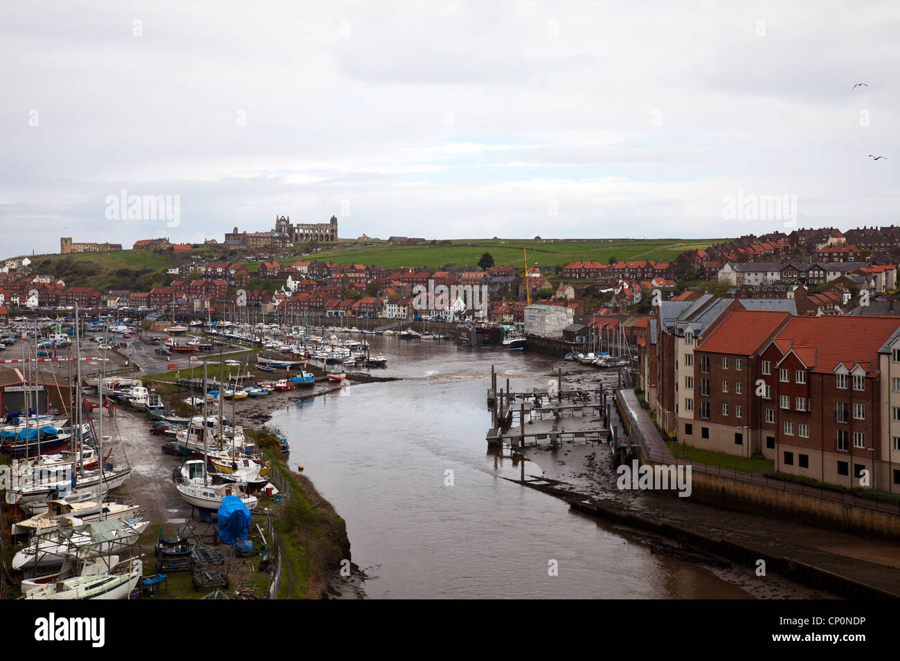 Overview of Whitby marina, harbor, harbour, with the Abbey high above ...
