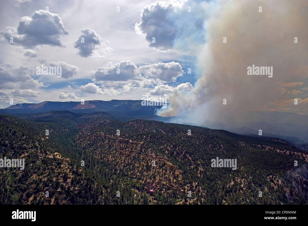 Smoke of wildfire hi-res stock photography and images - Alamy
