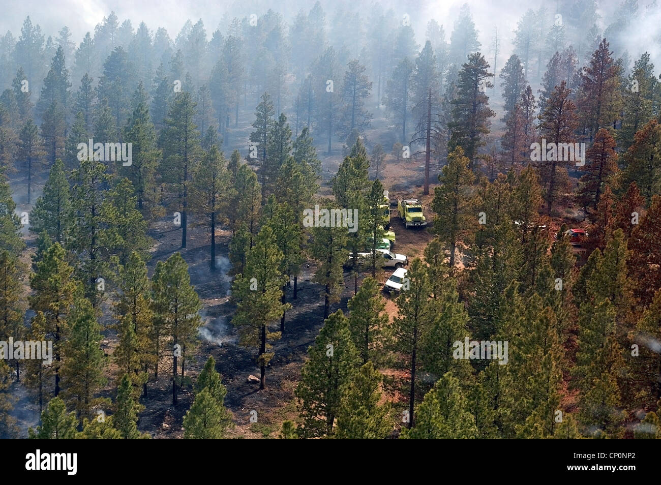 Fire engines parked in the forest during a fire Stock Photo - Alamy
