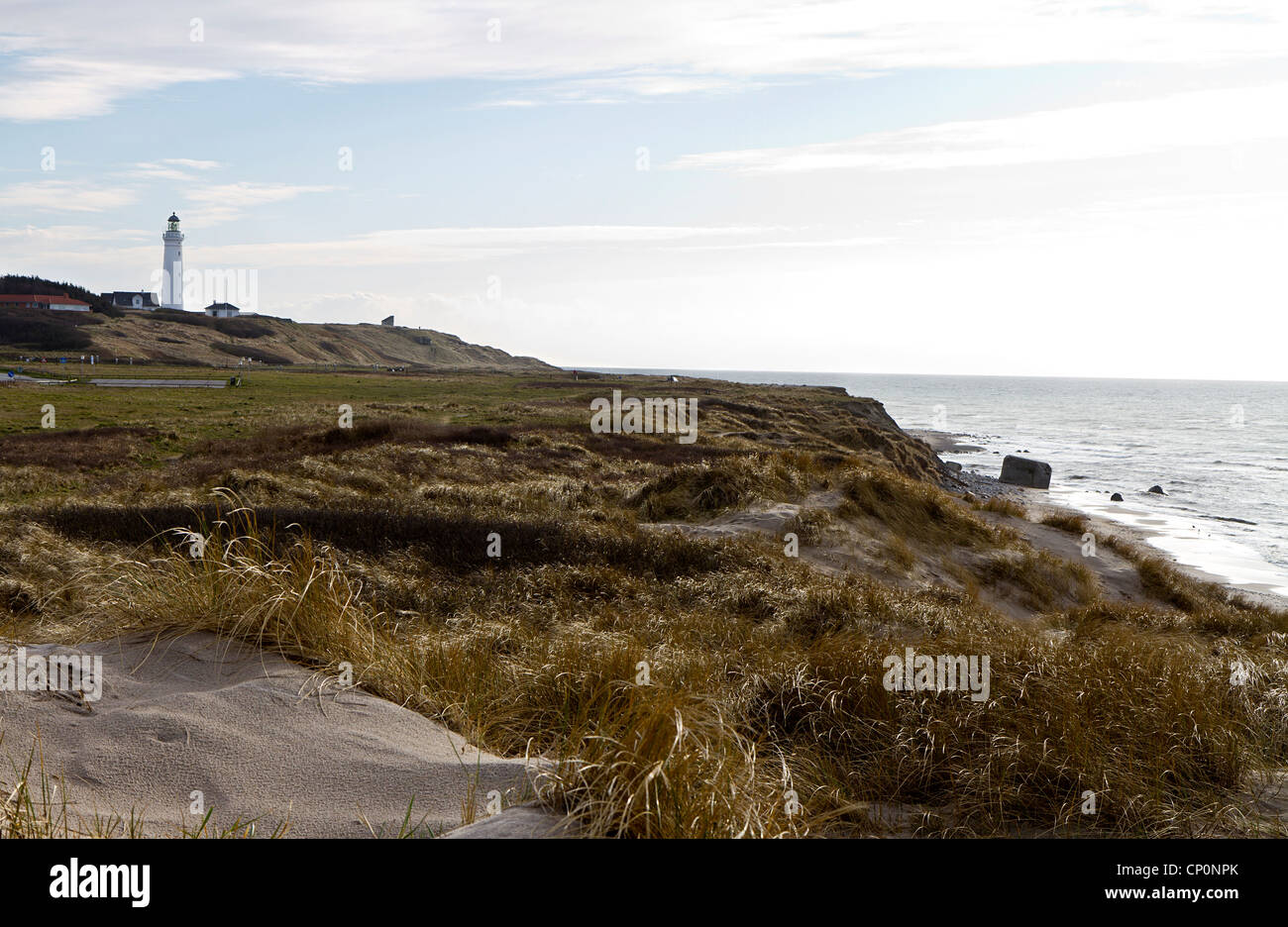 coastal scene with grass and sand at north denmark with lighthouse ...