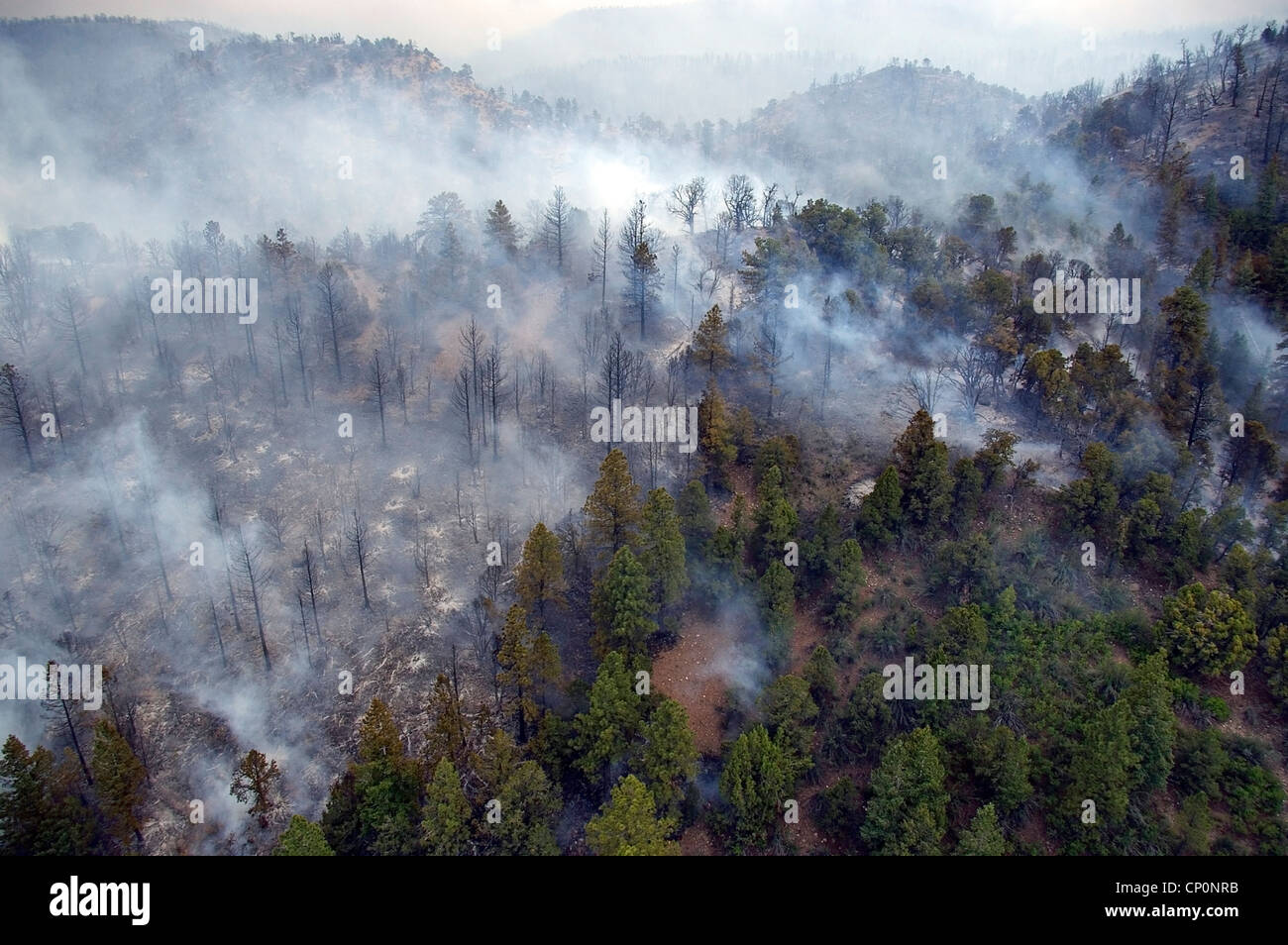 Heavy smoke rising from a forest fire along a ridge Stock Photo - Alamy