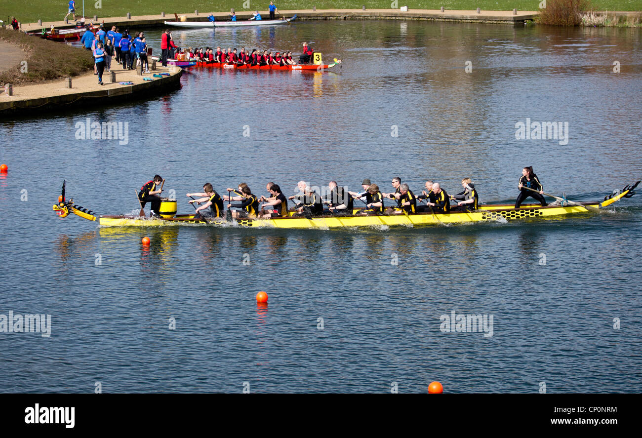 BDA National League dragon boats race at Caldecotte lake Milton Keynes ...