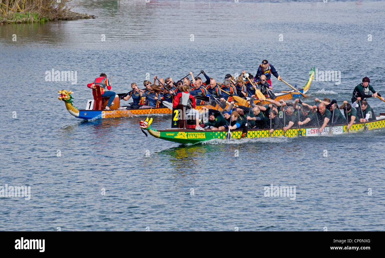 BDA National League dragon boats race at Caldecotte lake Milton Keynes ...