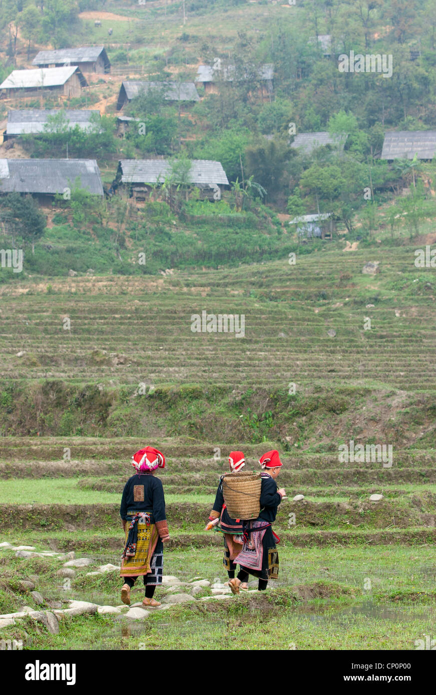 Village women of the Red Hmong tribe in traditional dress, walking to ...