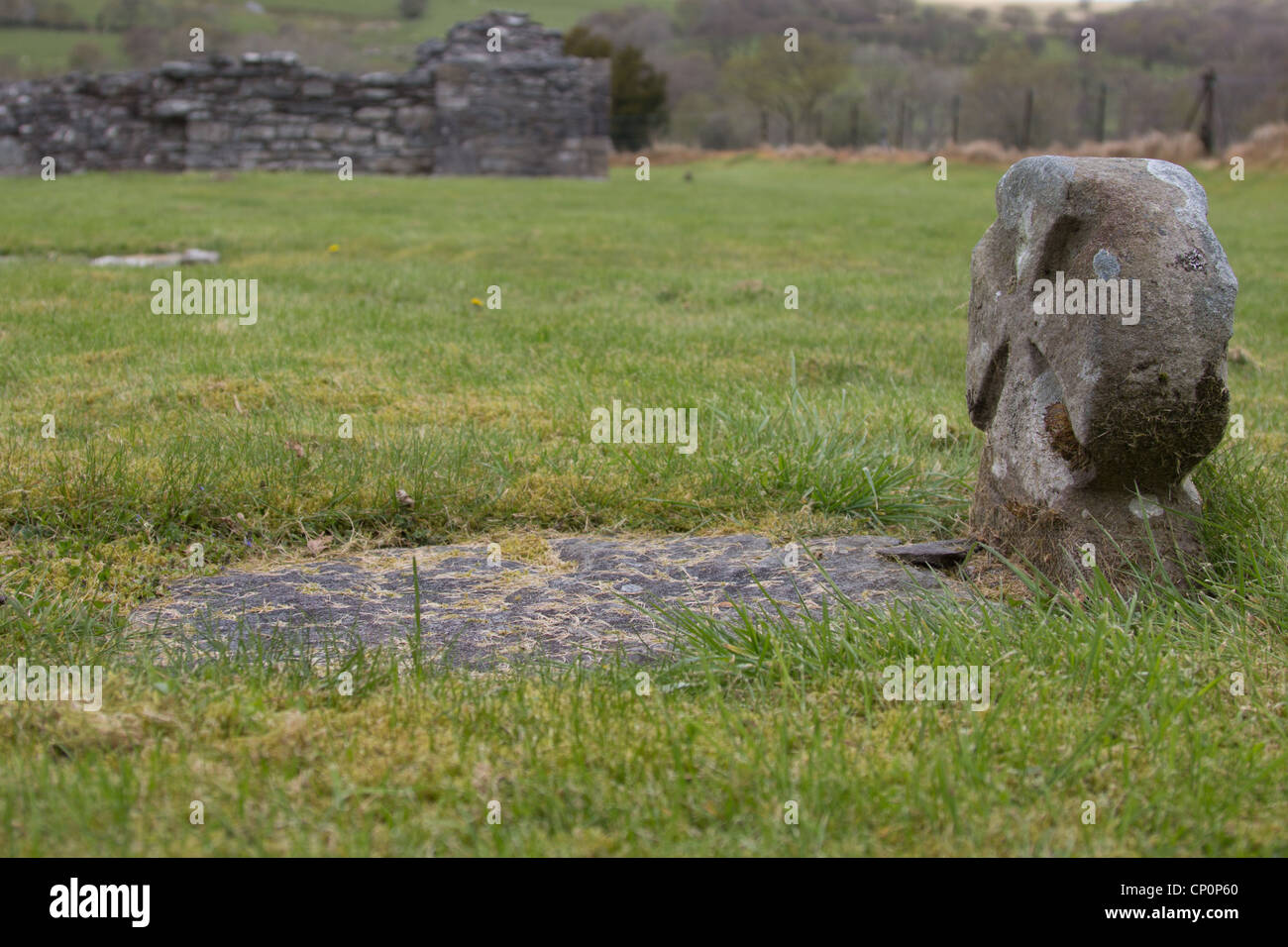 Round medieval gravestone at Strata Florida Abbey Stock Photo - Alamy