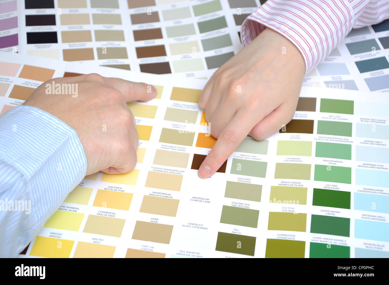 Business people with swatches to decide the color of the office Stock ...