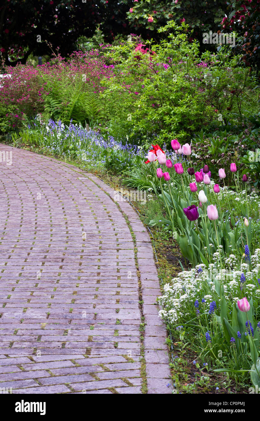 A winding garden path of red pavers with tulips blooming Stock Photo ...