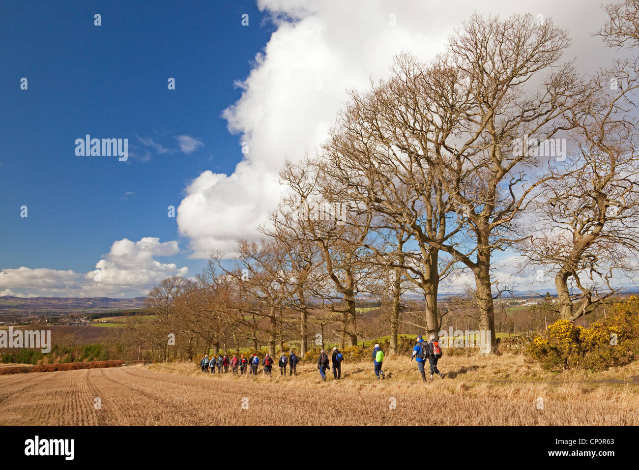 A Rambling Club on a field path below McDuff's Tower near New Scone ...