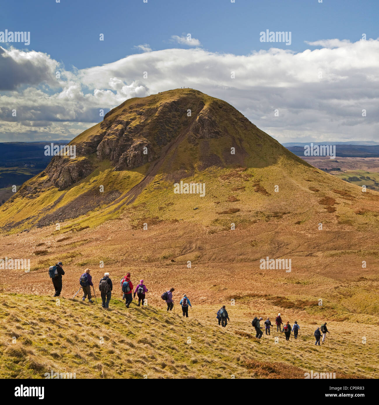 A Rambling Club approaching Dumgoyne in the Campsie Fells near ...
