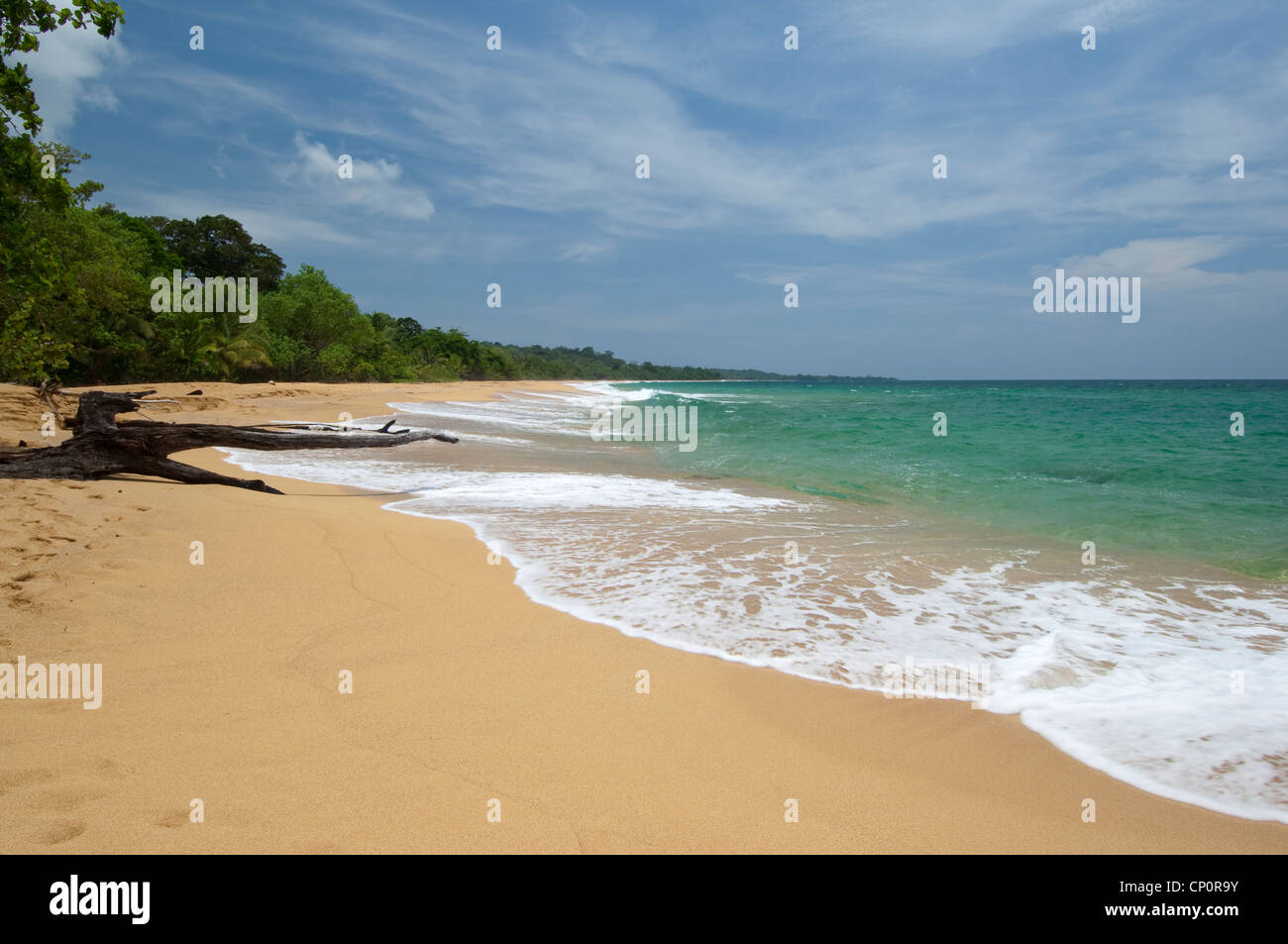 Bluff beach hi-res stock photography and images - Alamy