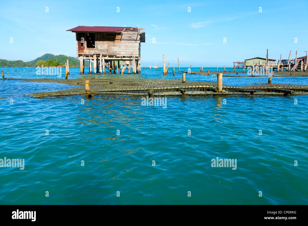 Mussel farm hi-res stock photography and images - Alamy