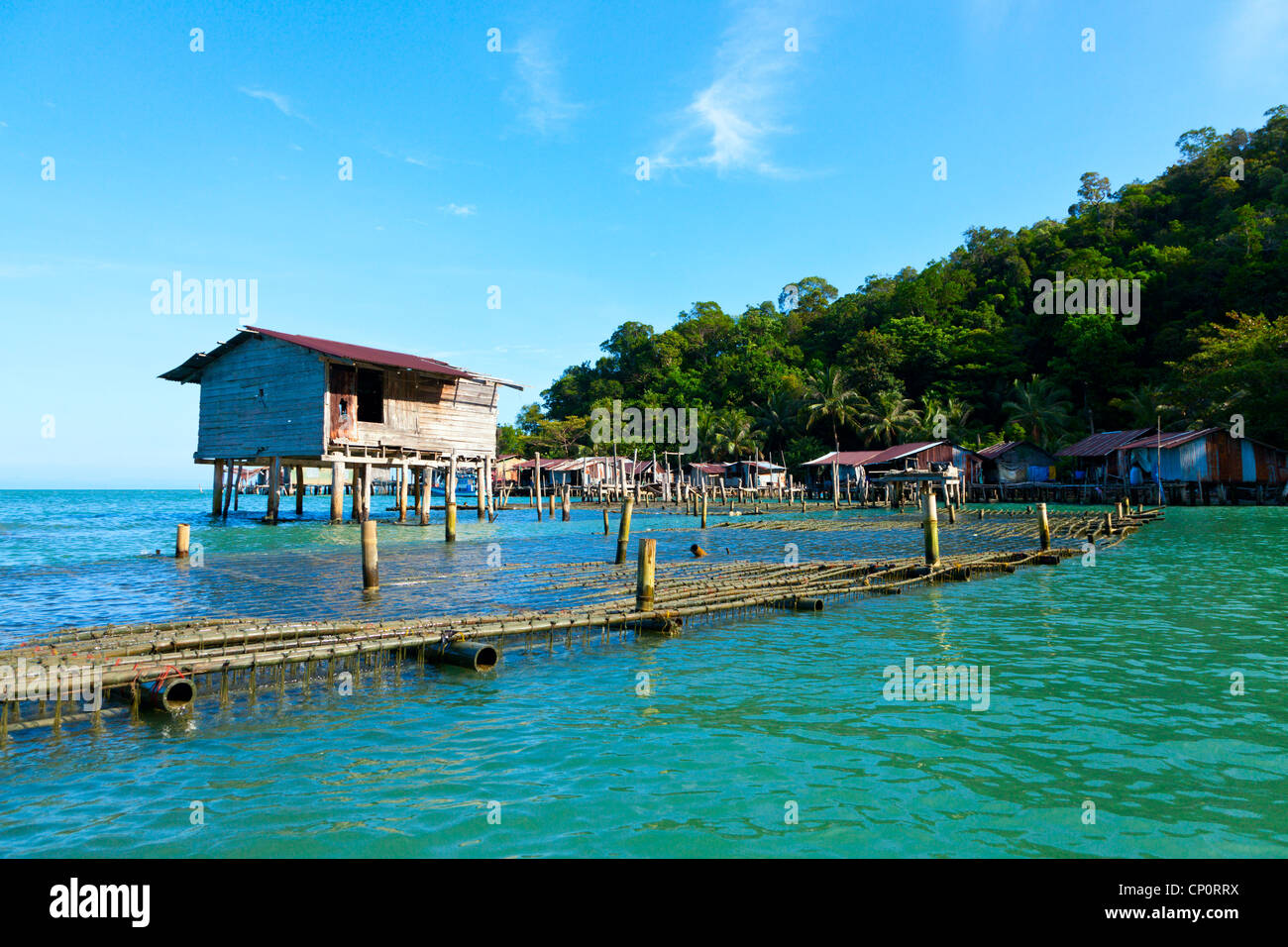 Mussel farm hi-res stock photography and images - Alamy