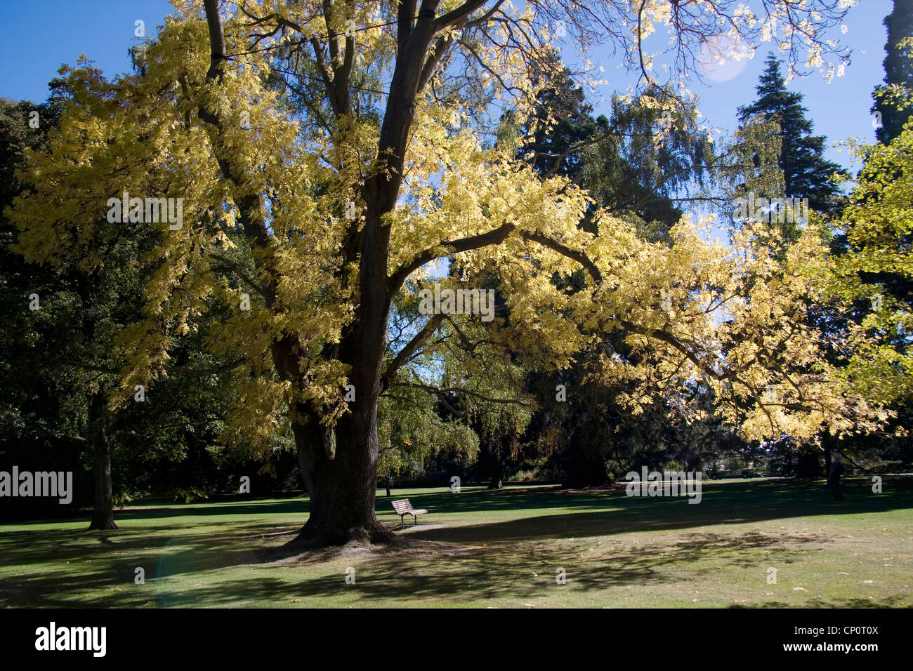 Christchurch Botanic Gardens Stock Photo - Alamy