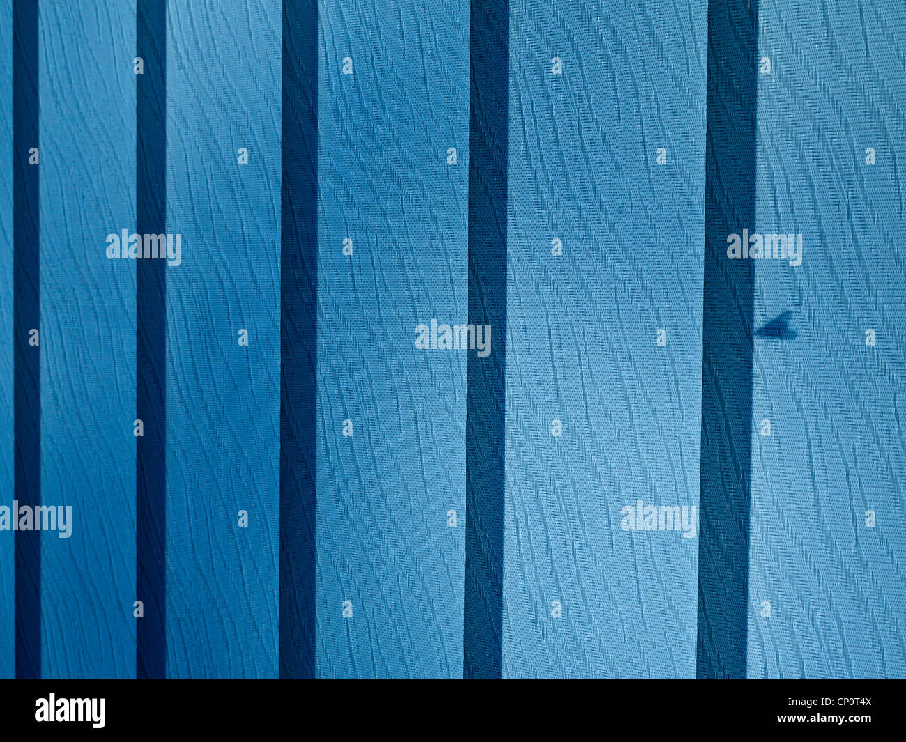 Fly behind blinds Stock Photo - Alamy