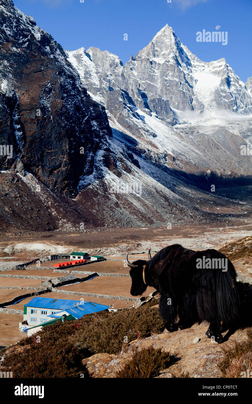 Yak's-eye view of the village of Machhermo on the trail to Gokyo Ri ...