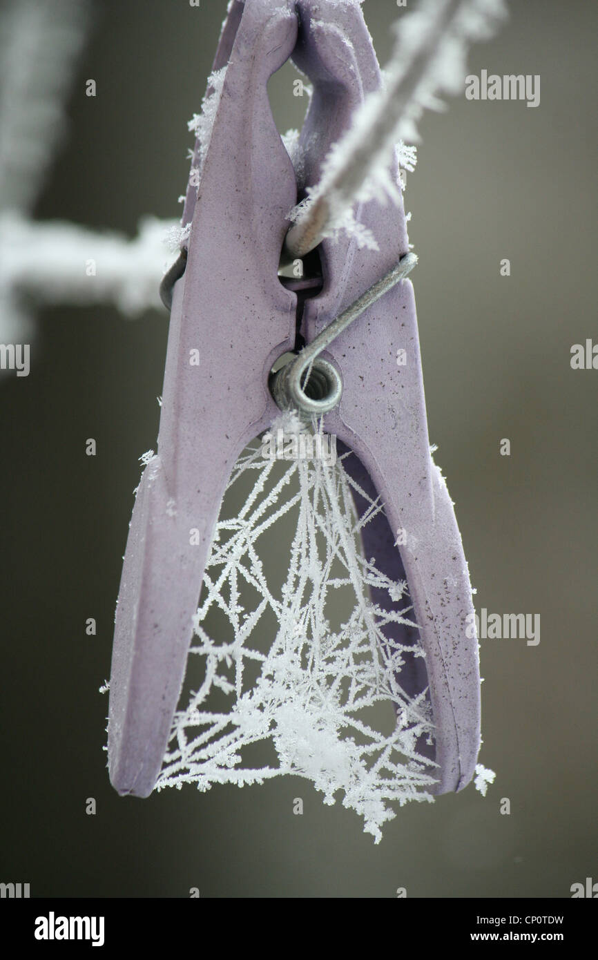 cobweb on clothes peg Stock Photo - Alamy