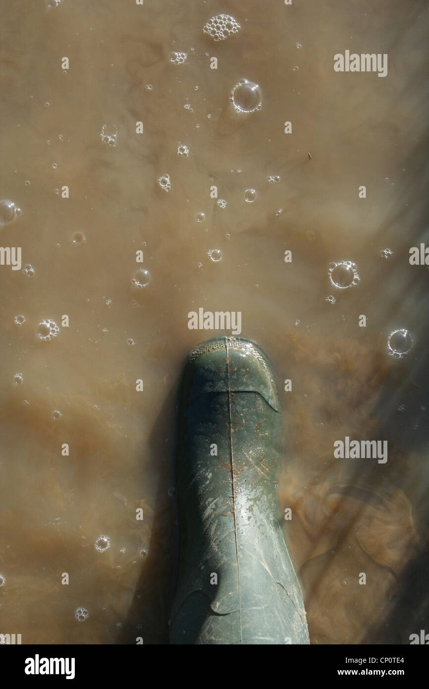 Puddles hi-res stock photography and images - Alamy