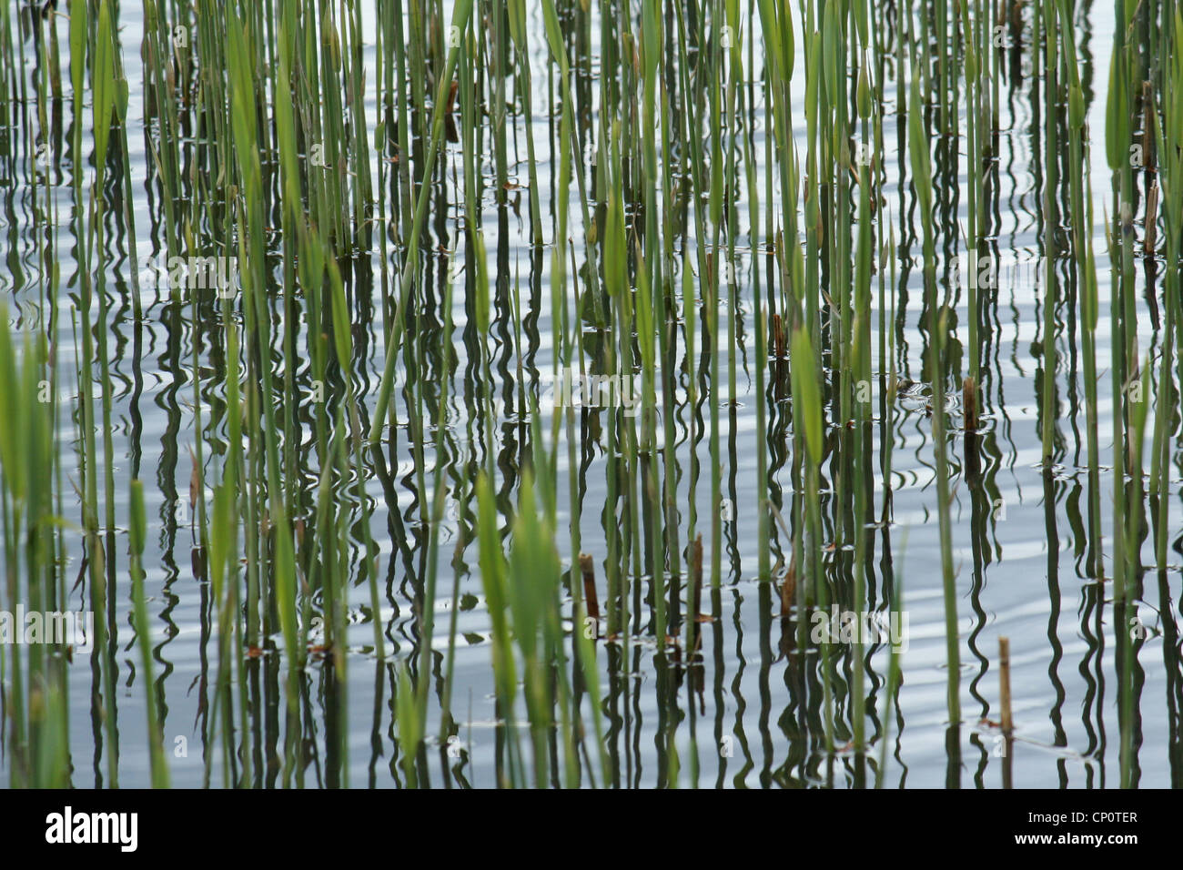 Water with mirror image hi-res stock photography and images - Alamy