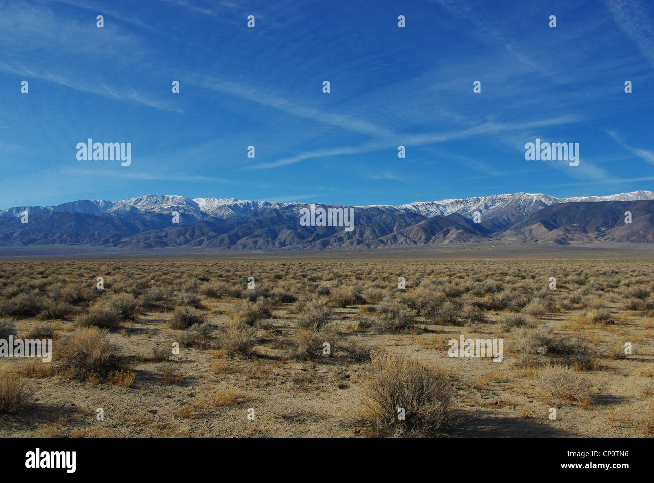 Boundary peak nevada hi-res stock photography and images - Alamy Boundary peak nevada hi-res stock photography and images - Alamy